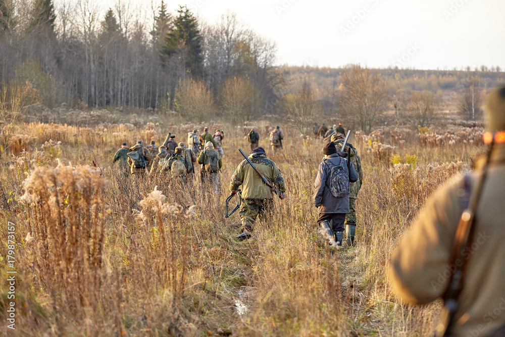 group of hunters during hunting in forest, chase hunting Stock Photo ...