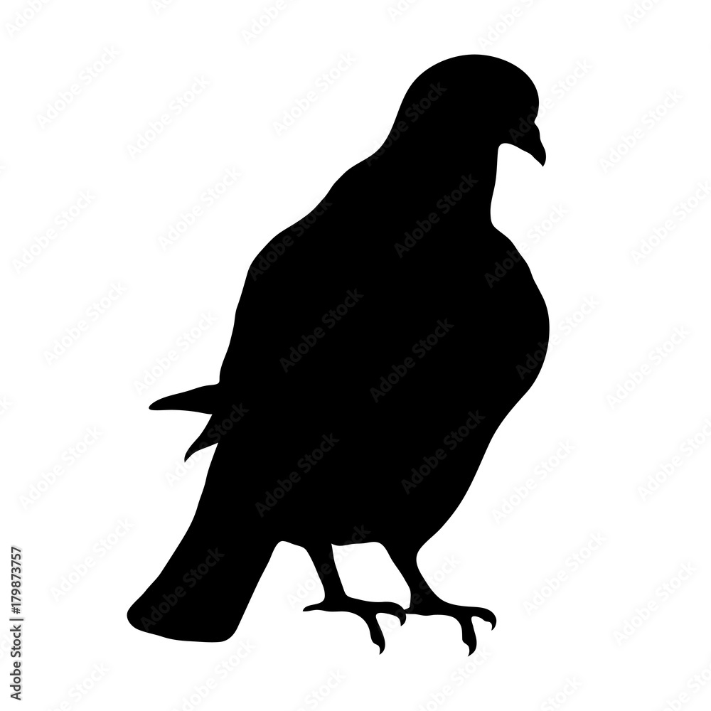 black silhouette of sitting dove on white background of vector ...