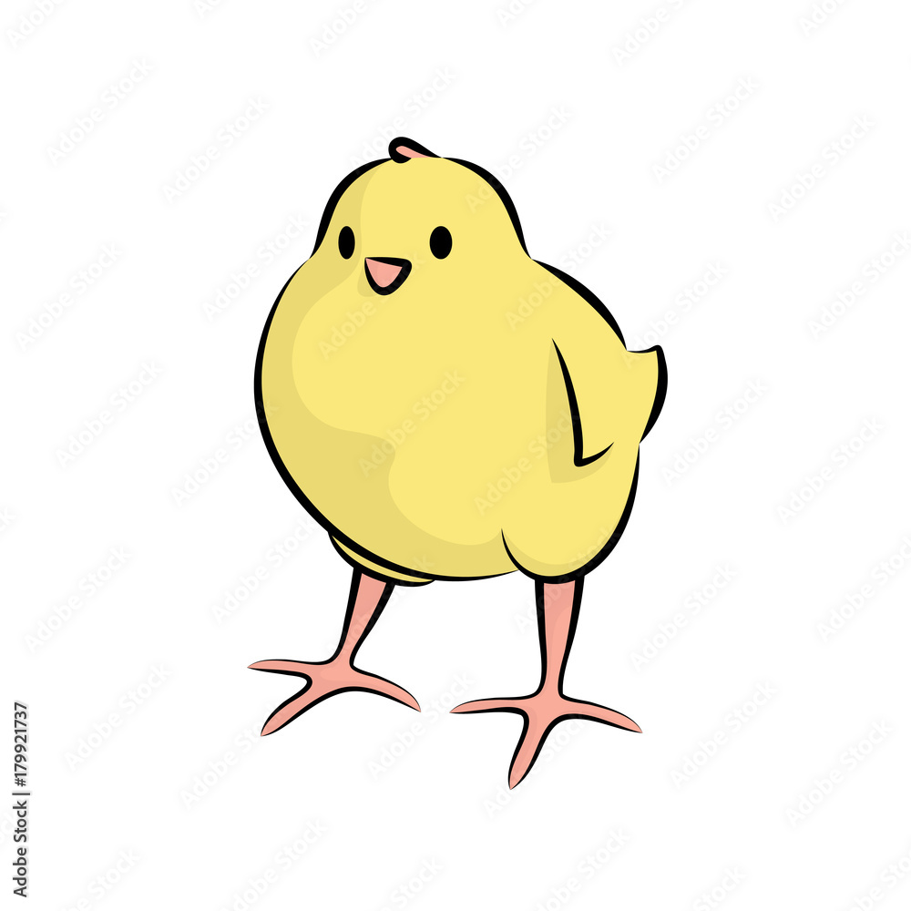 Cute Little Chick. Vector Illustration Of A Baby Chicken.Front View ...