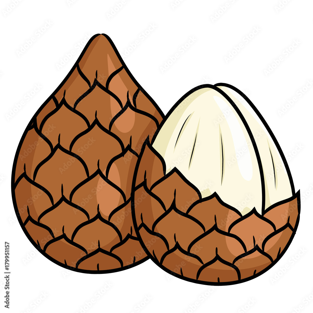 Snake fruit Cartoon Illustration of cute cartoon snake fruit. Stock ...