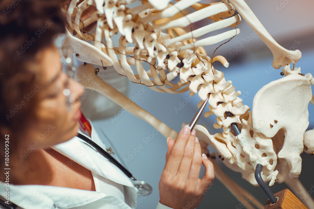 Medical doctor woman teaching anatomy using human skeleton model Stock ...