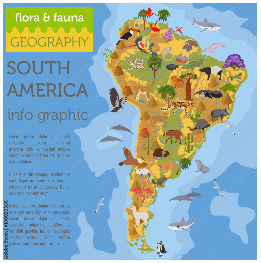 South America flora and fauna map, flat elements. Animals, birds and ...