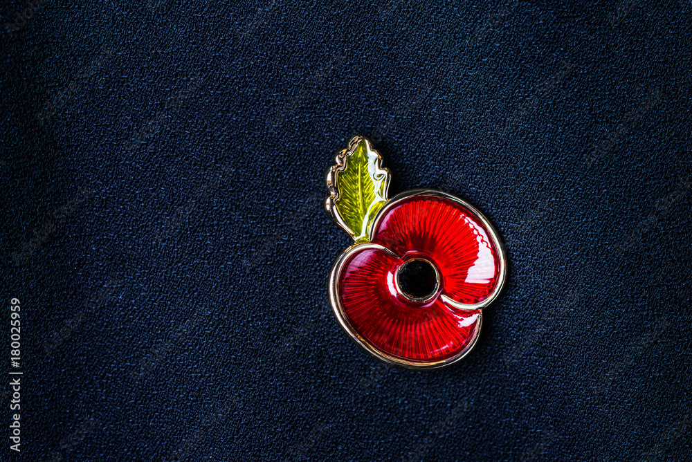 Red Poppy Pin as a Symbol of Remembrance Day Stock Photo | Adobe Stock