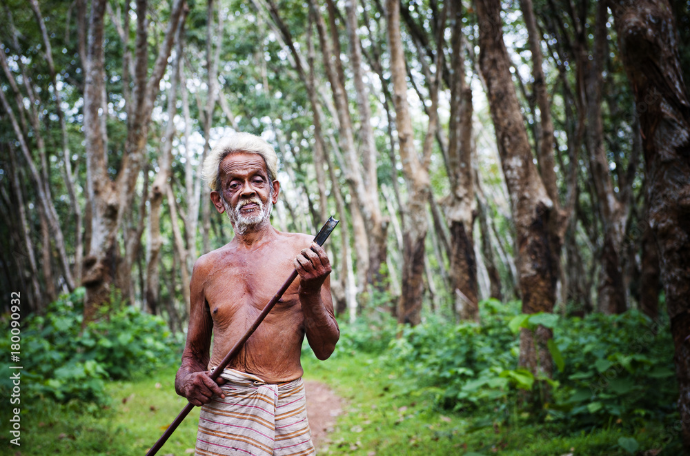 Rubber farmer at a plantation in Sri Lanka Stock Photo | Adobe Stock