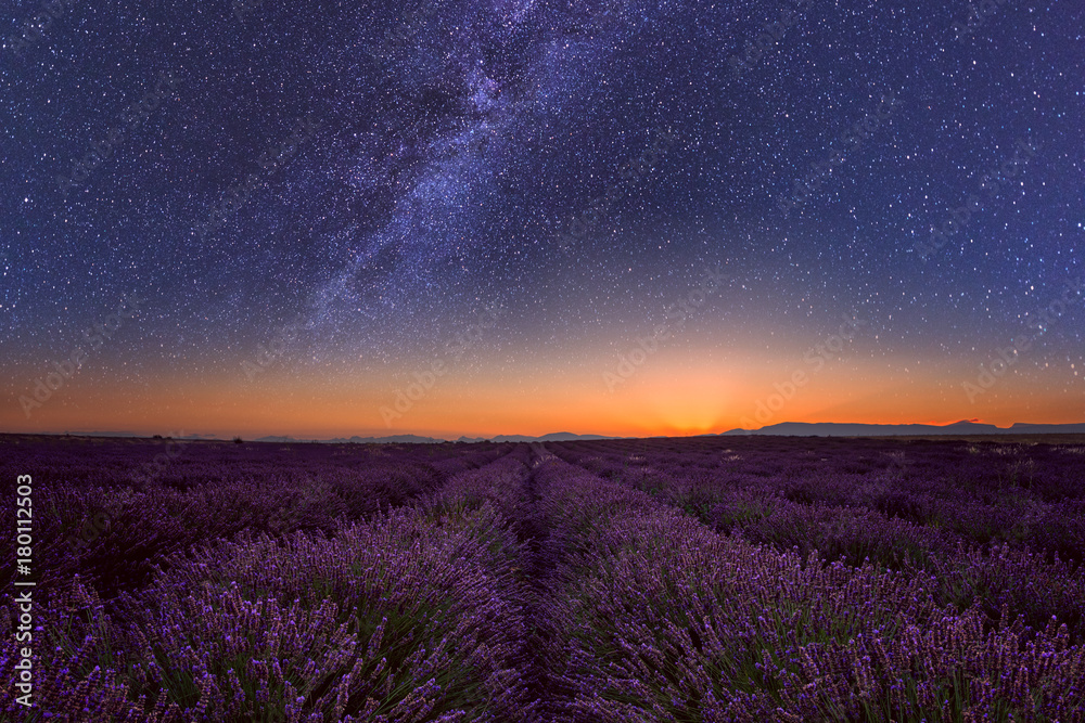 Lavender field at night in Provence, amazing landscape with starry sky ...