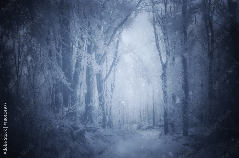 fantasy forest with snow falling in winter Stock Photo | Adobe Stock