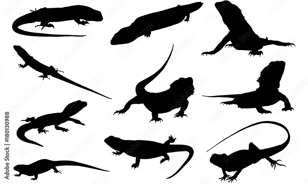 Vetor de Reptile Silhouette Vector Graphics do Stock | Adobe Stock
