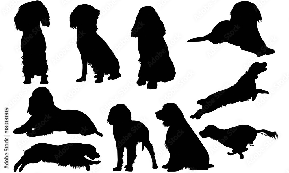 English Springer Spaniel Silhouette Vector Graphics Stock Vector ...
