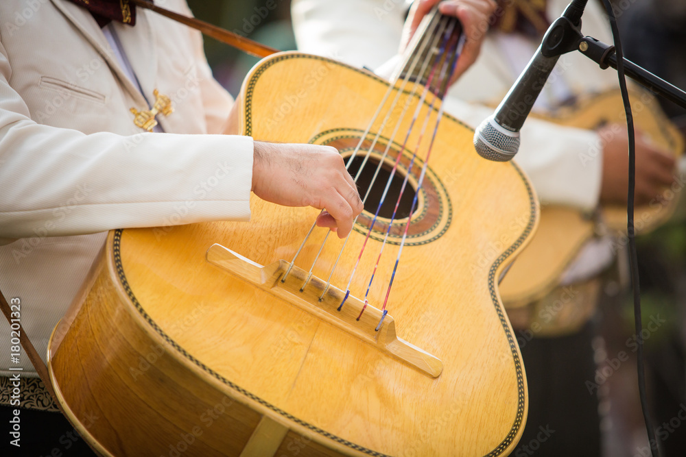 Mariachi Guitarron