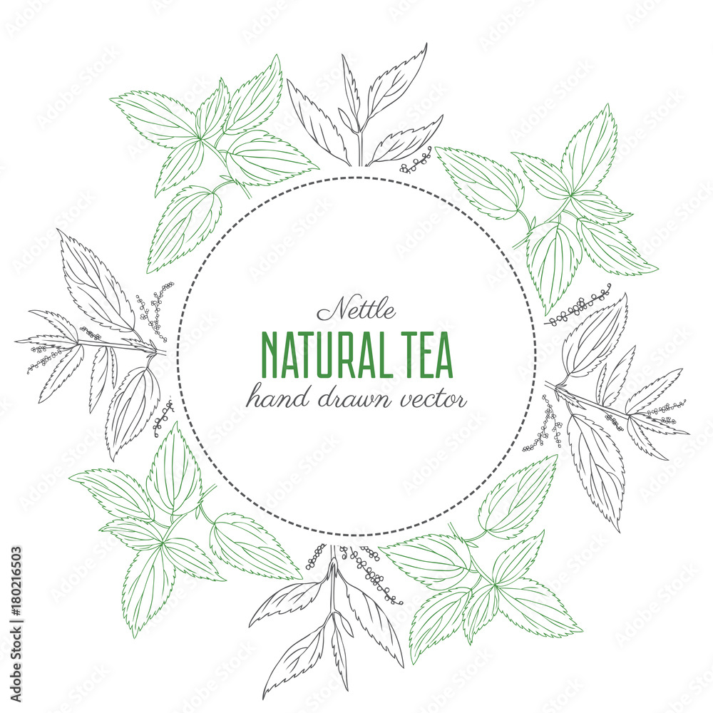 Round floral frame, Nettle wild field flower isolated on white ...