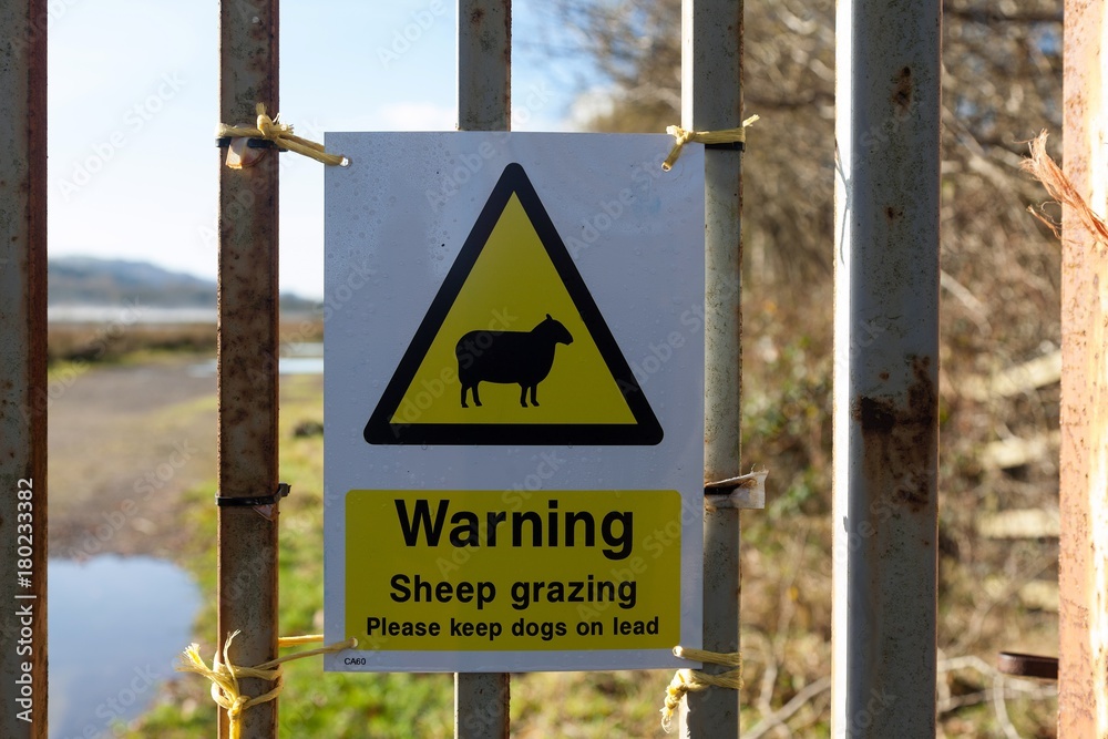 Warning sheep grazing A typical british farm sign warning that there ...