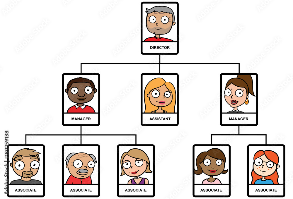 Cartoon vector illustration of business organization structure of ...