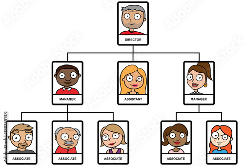 Cartoon vector illustration of business organization structure of ...