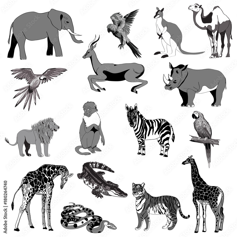 Vector illustration. Set of animals, parrot, giraffe, monkey, gazelle ...