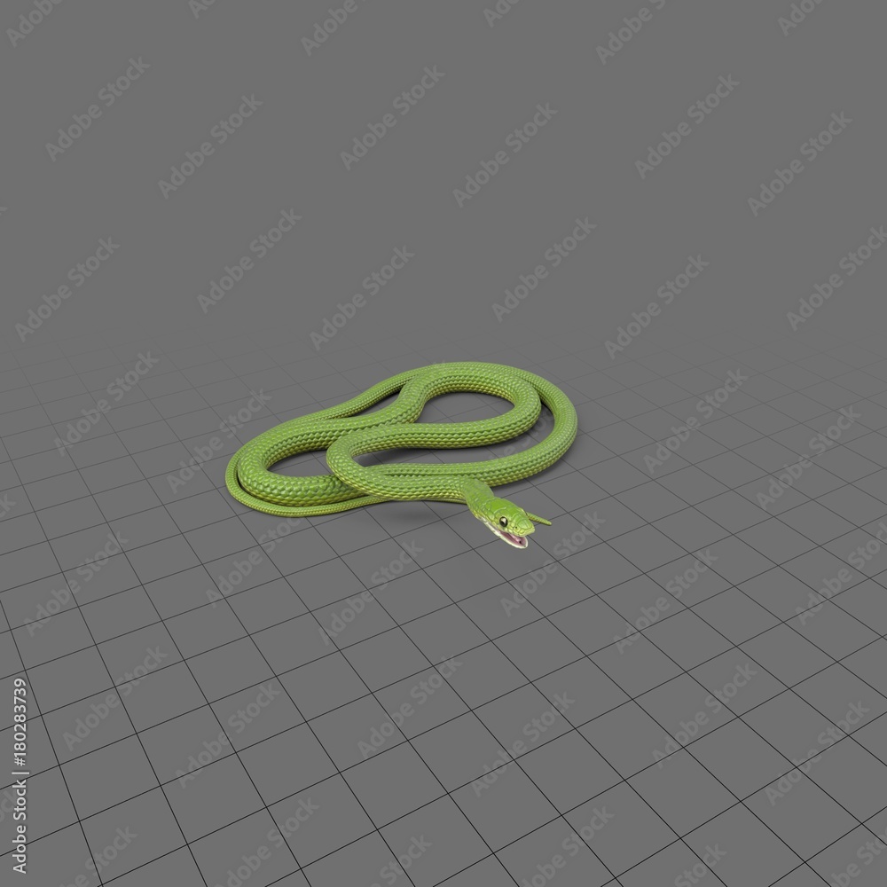 Posed green snake Stock 3D asset | Adobe Stock