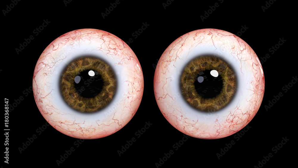 Two Human Eyes