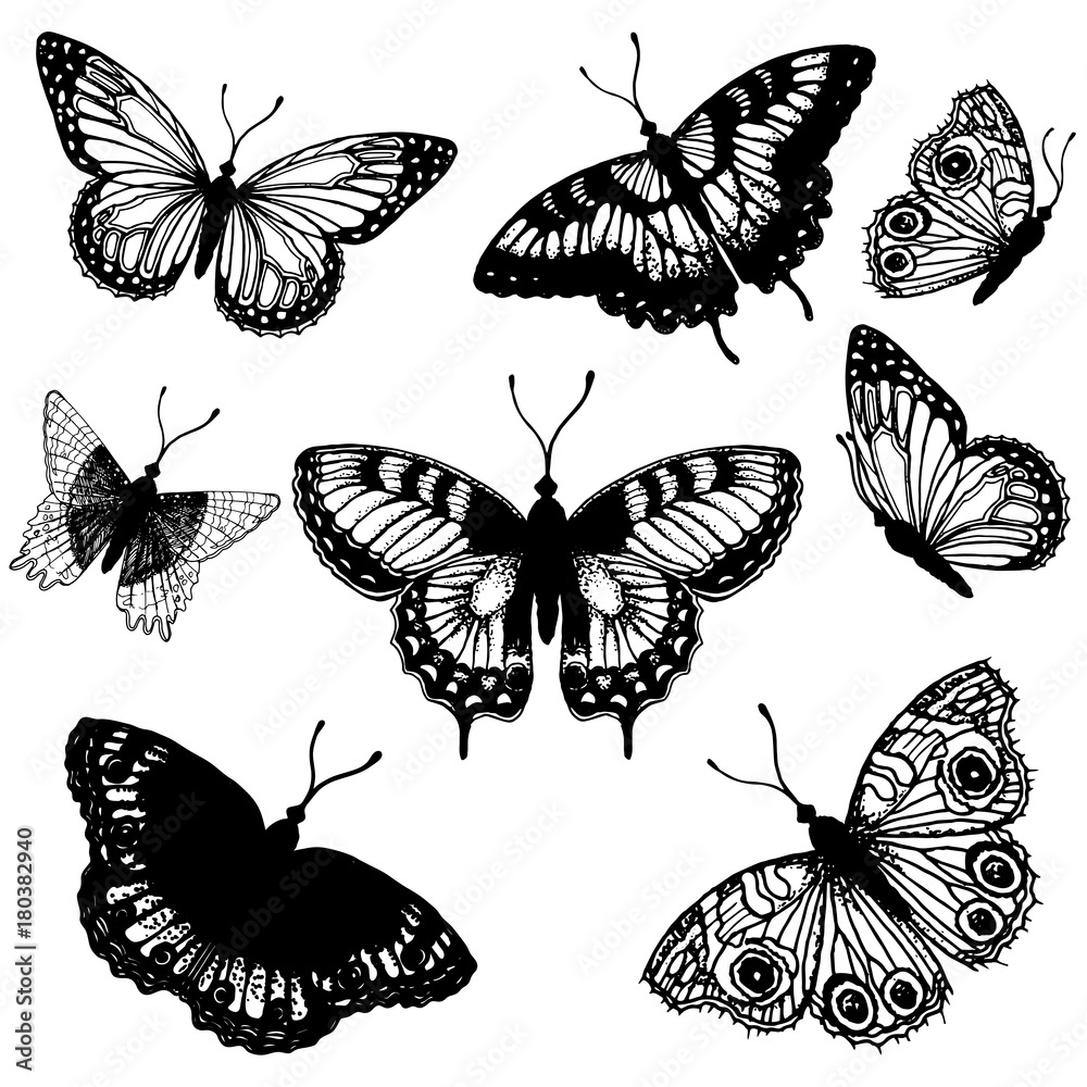Set of hand drawn sketch style butterflies. Vector illustration ...