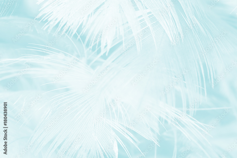 Beautiful light green - white vintage color trends feather texture ...