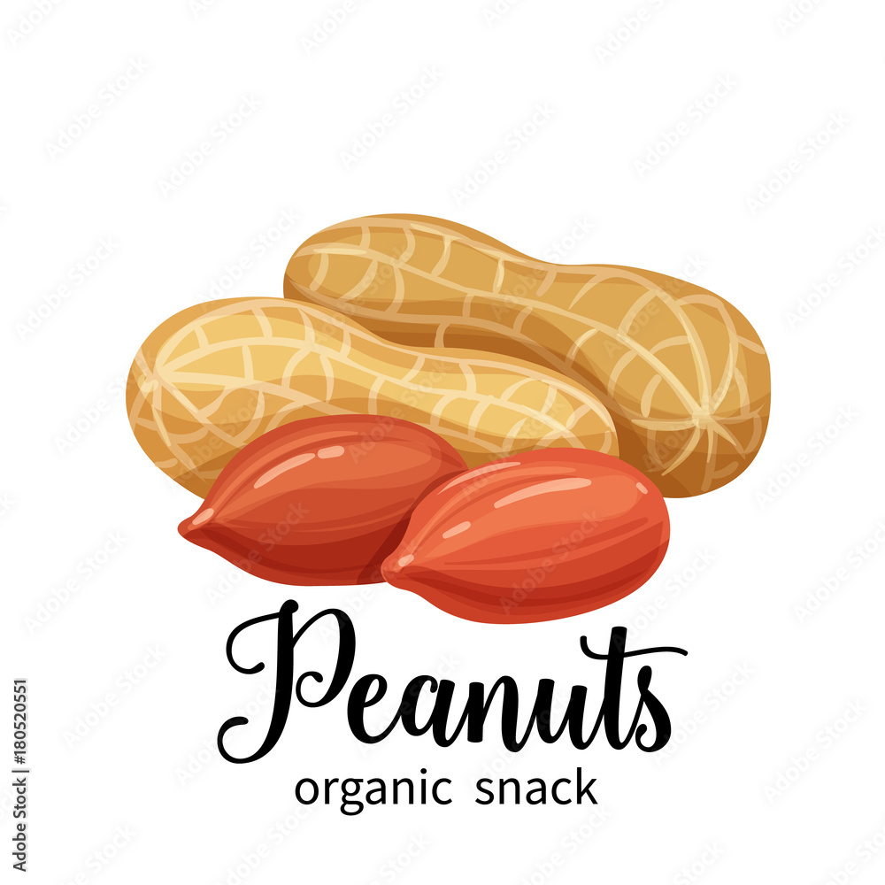 peanuts in cartoon style Stock Vector | Adobe Stock