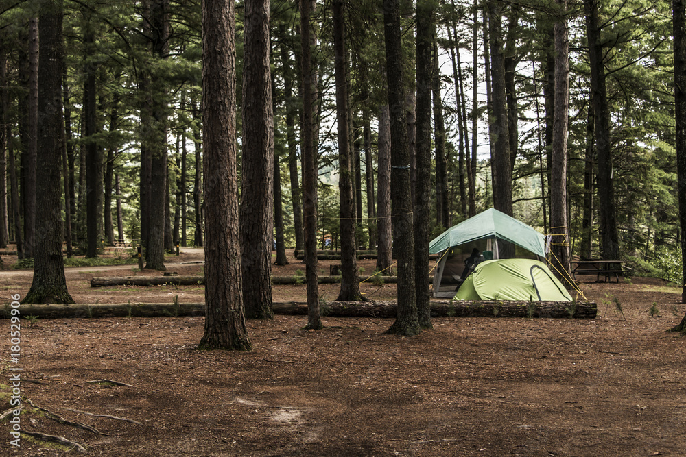 tent camper Lake of two rivers Campground Algonquin National Park ...