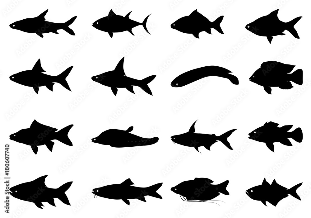 Fish Shape Vector