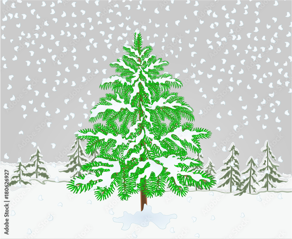 How To Draw A Pine Tree With Snow