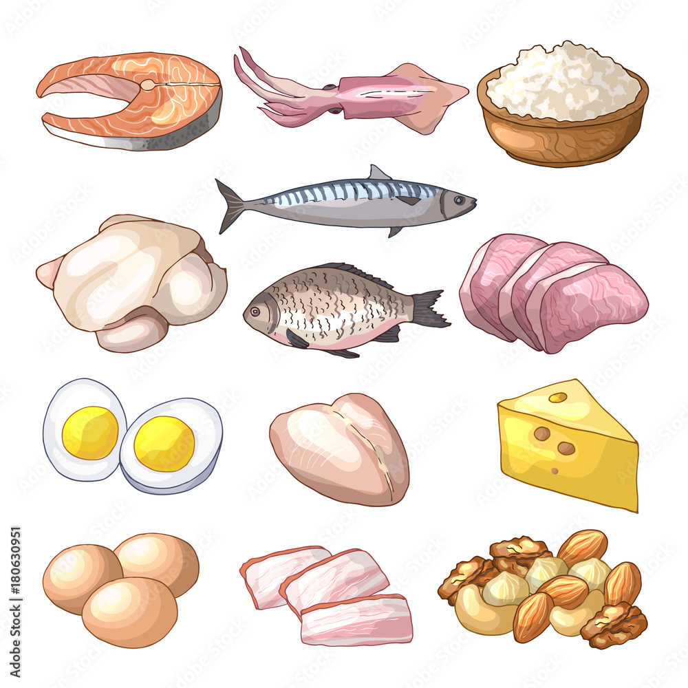 Useful products. Illustrations in cartoon style. Vector collection set ...