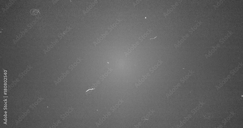 grey vhs background realistic flickering, analog vintage TV signal with ...