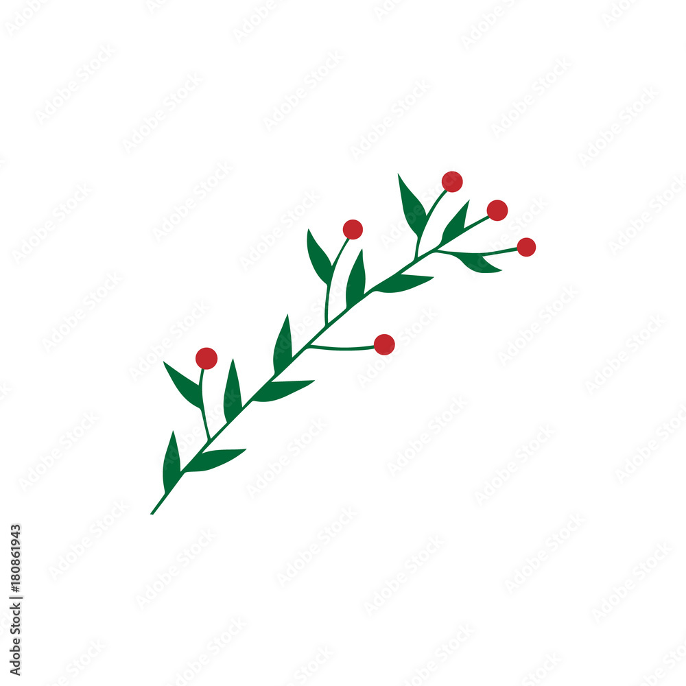 Mistletoe Branch Vector