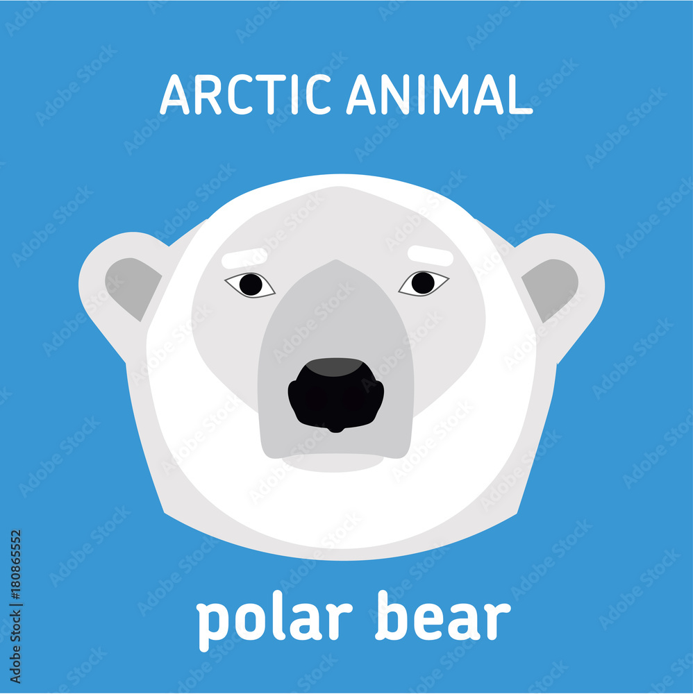 Animals of the Arctic. The head of a polar bear. Vector Set of polar ...