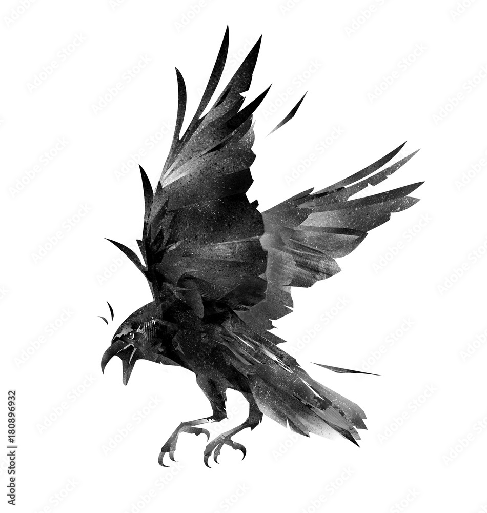 drawing flying bird crow on a white background Stock Illustration ...
