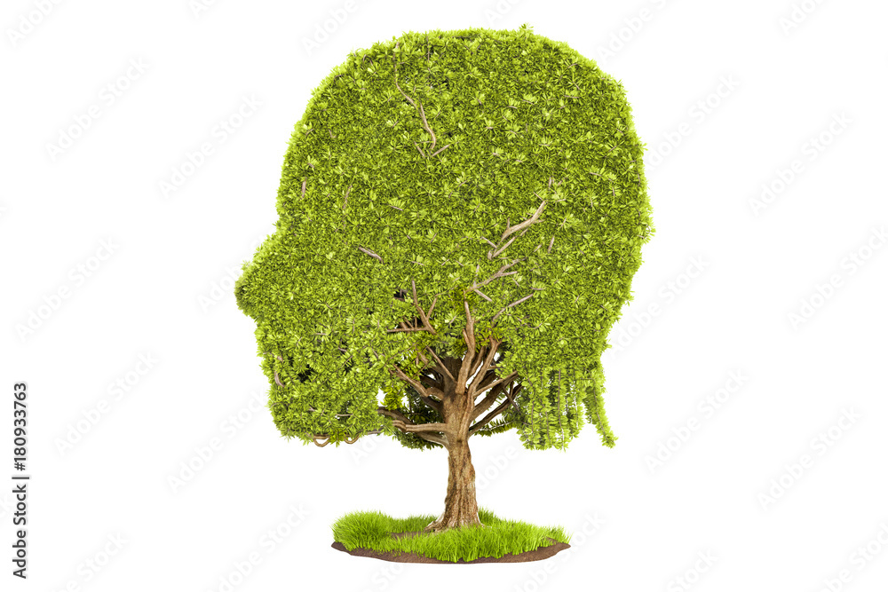 Human head shaped tree, 3D rendering Stock Illustration | Adobe Stock
