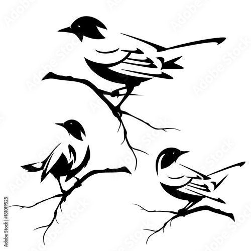 Birds On Tree Clipart Black And White
