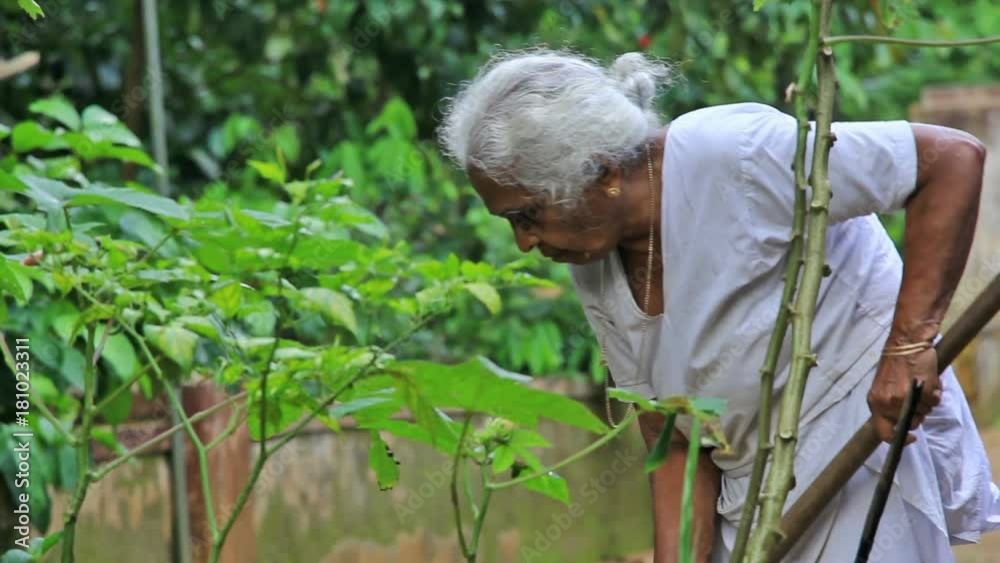 Dynamic grandma, in white traditional dress, engrossed in garden work ...