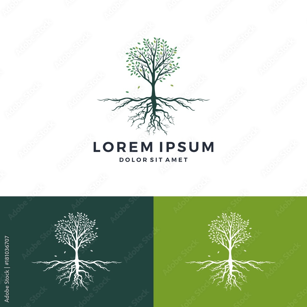 tree and root logo vector leaf Stock Vector | Adobe Stock