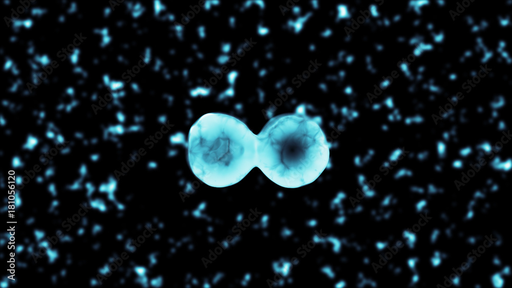 Binary Fission Transparent Cell Division 3D illustration Stock ...