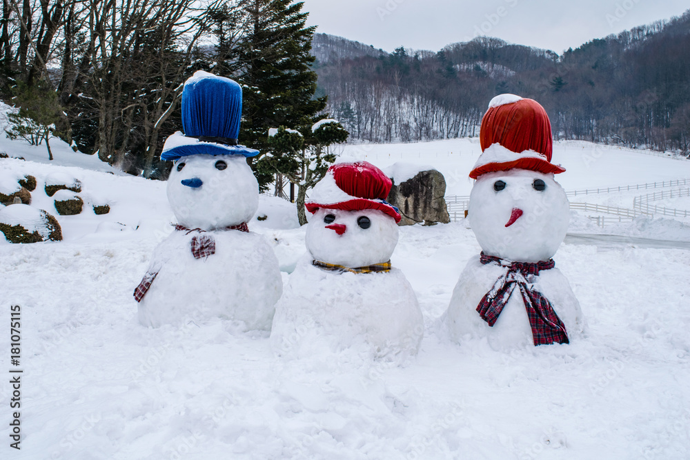 Pyeongchang-gun, Gangwon-do, South Korea - Snowy Pyeongchang-gun ...