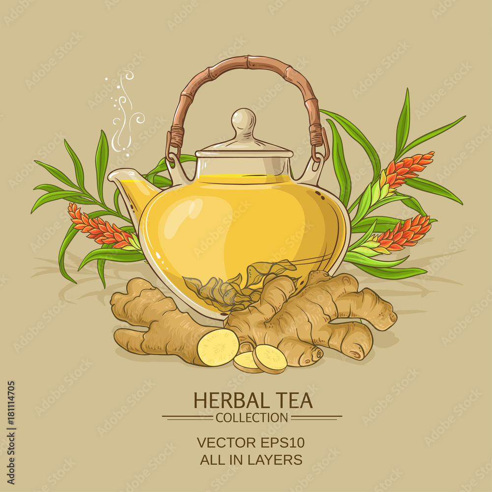 ginger tea illustration Stock Vector | Adobe Stock