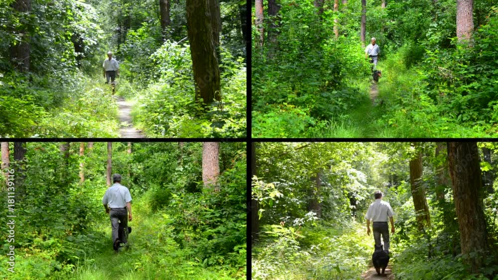 Man in shirt and jeans walking with a dog in the woods. Multicam split ...