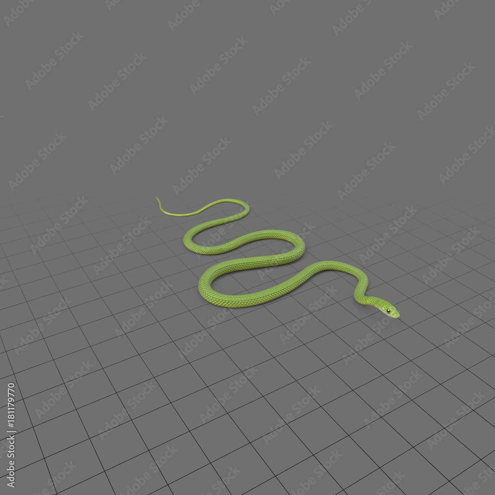 Slithering green snake Stock 3D asset | Adobe Stock