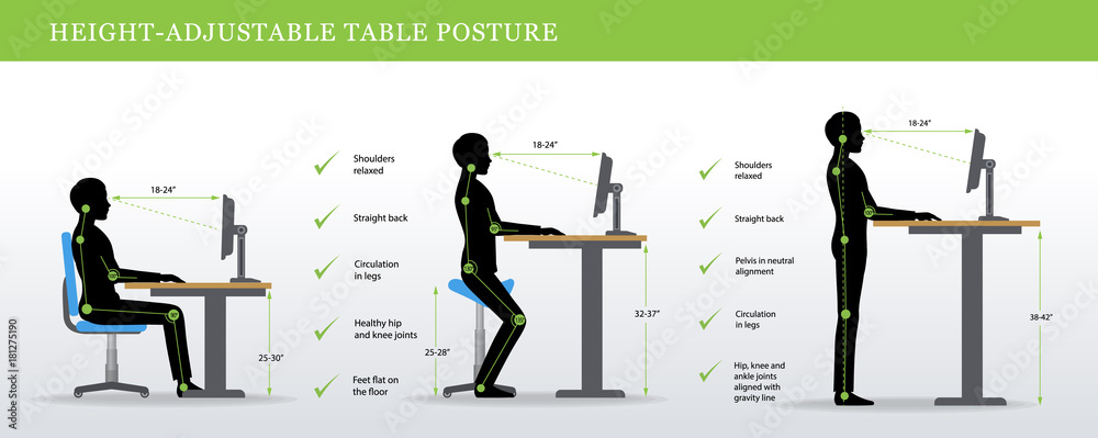 Height Adjustable and Standing Desks correct poses. Ergonomics healthy ...