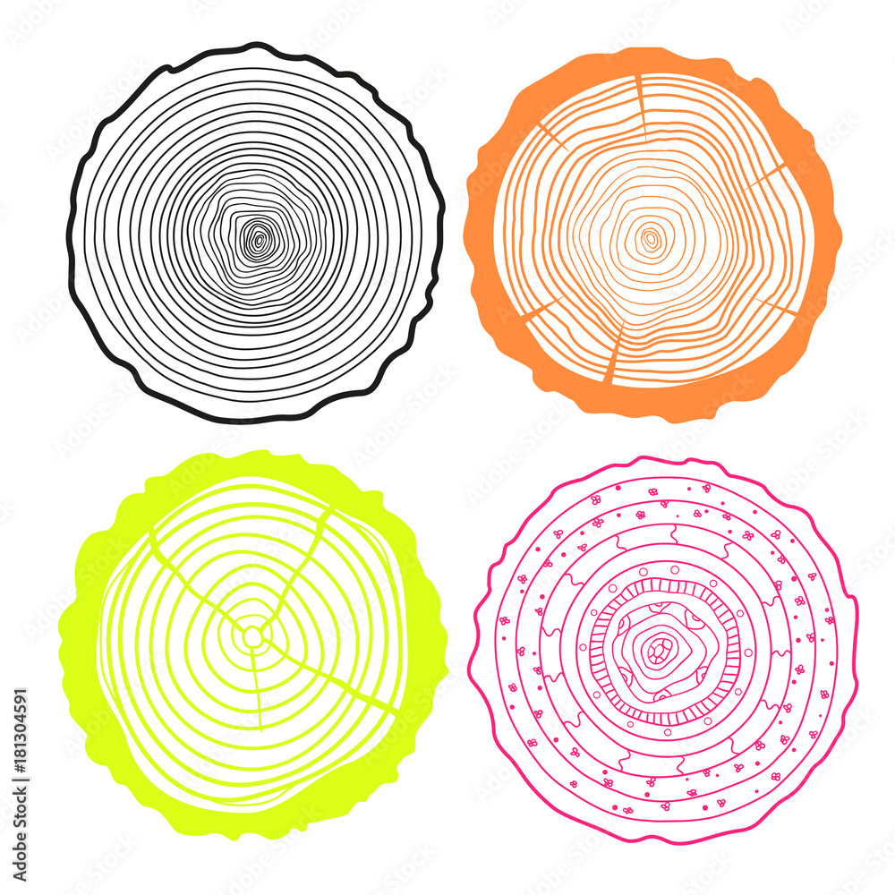 Tree rings. Set of cross section of the tree.Set of tree rings on ...