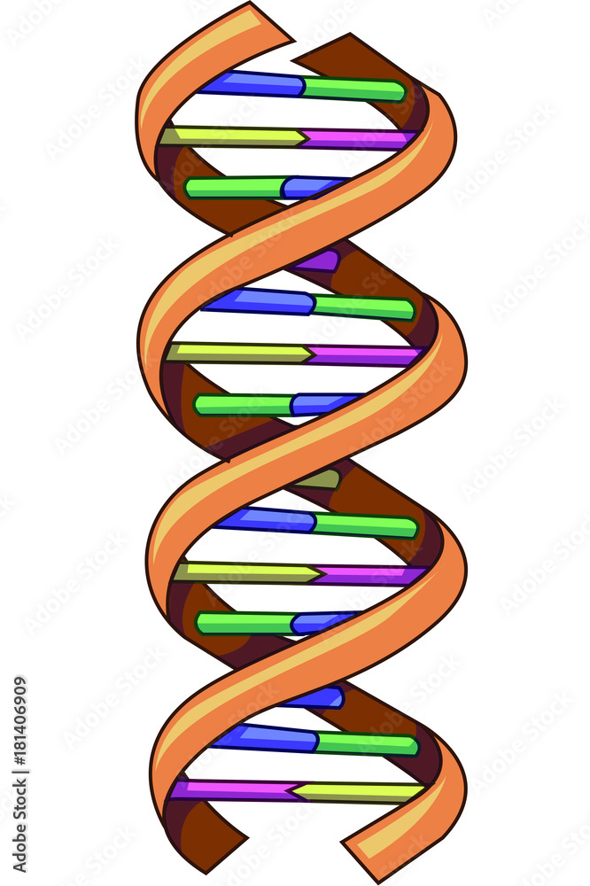 Simple Dna Structure Hd