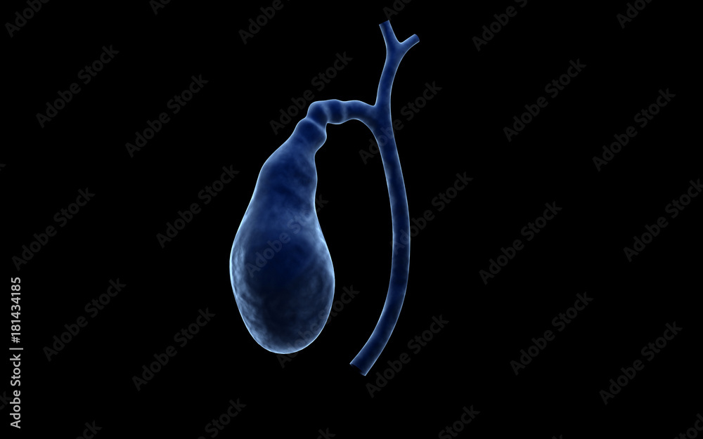 3d rendered gallbladder isolated on dark background Stock Illustration ...