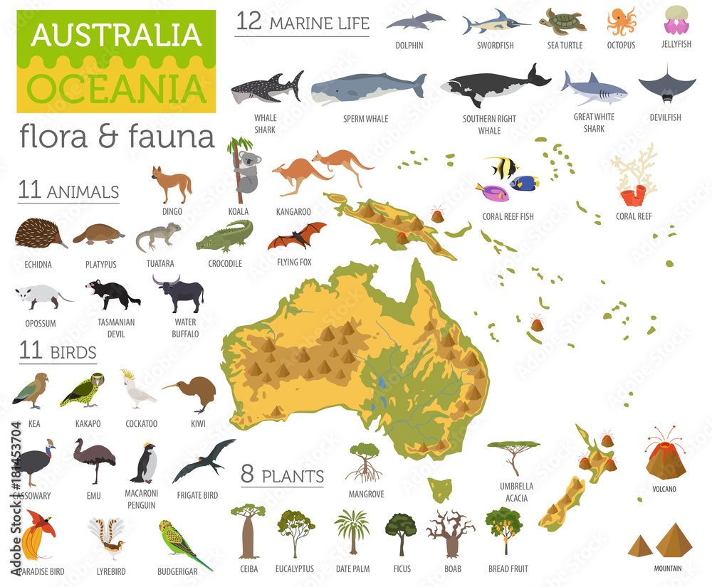 Naklejka mapa flory i fauny Australii i Oceanii, elementy płaskie ...