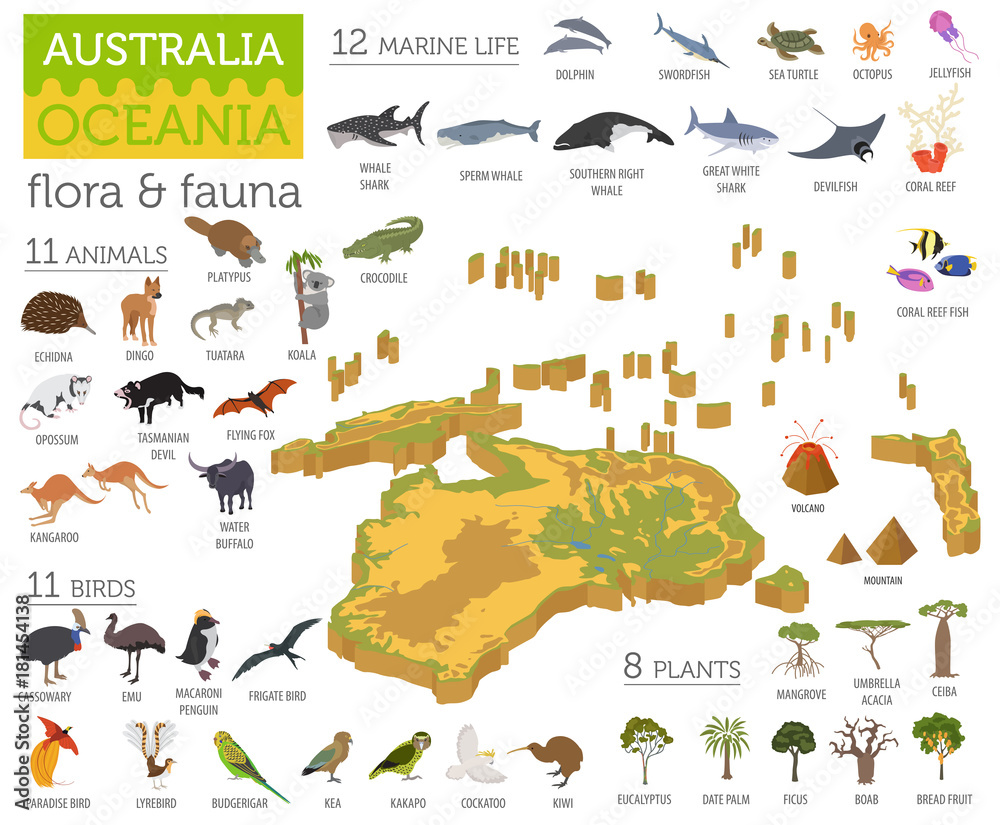Fototapeta dla chłopca Isometric 3d Australia and Oceania flora and ...