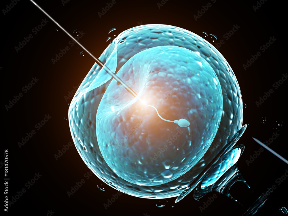 Artificial insemination. Needle puncture the cell membrane Stock ...