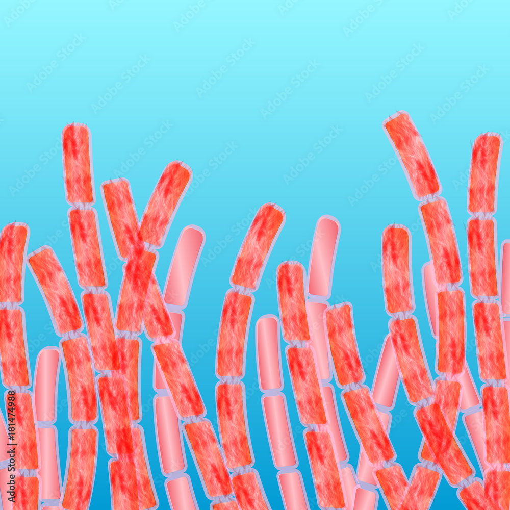 multicellular organism algae Stock Vector | Adobe Stock