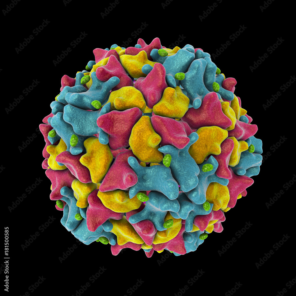 Poliovirus 3d Model