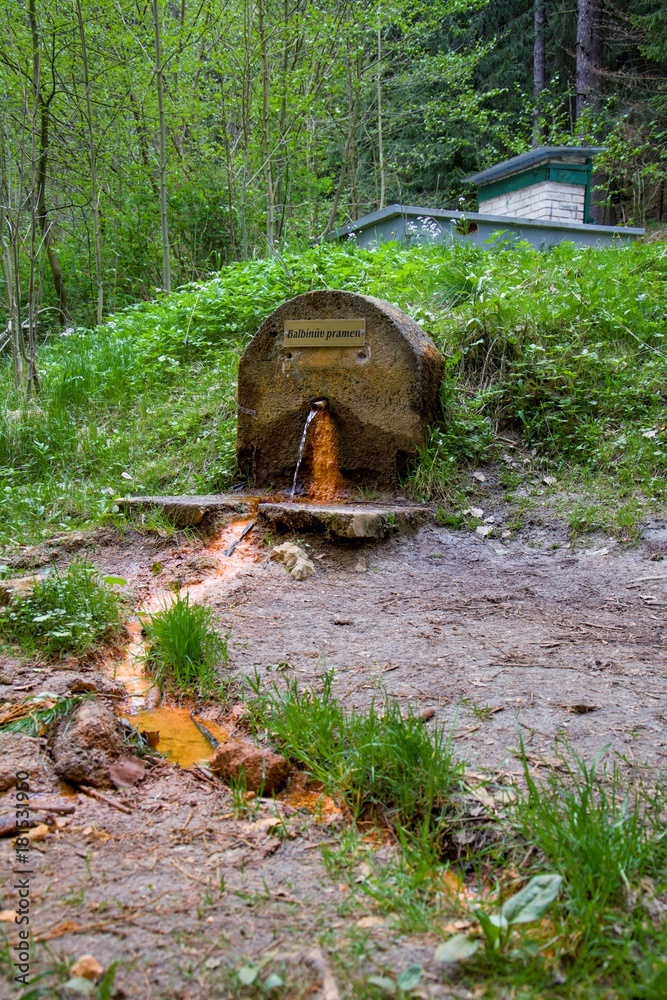Mineral water spring (Balbin´s Spring - Balbinuv pramen) in the spa ...